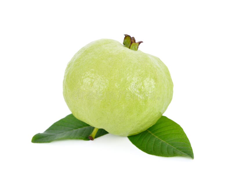 Whole Fresh Guava With Leaves On White Background Stock Photo - Image ...