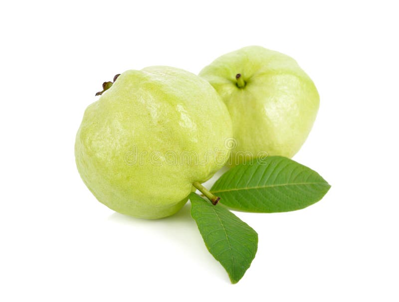 Whole Fresh Guava with Leaves on White Background Stock Photo - Image ...