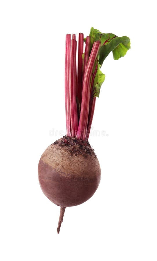 Whole Fresh Red Beet Isolated Stock Image - Image of nutrient, grocery ...