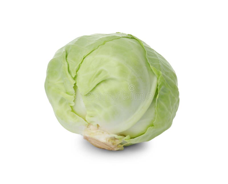 Whole Fresh Ripe Cabbage Isolated on White Stock Image - Image of leafy ...