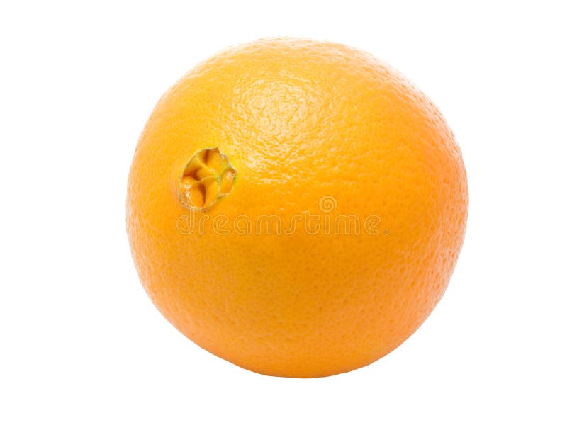 Whole fresh ripe orange stock photo. Image of orange, tasty - 5106574