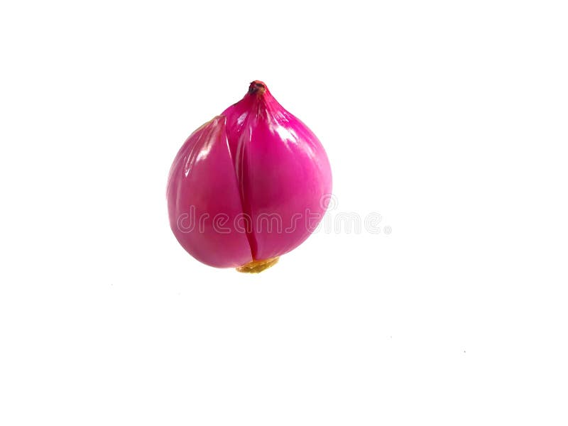 Whole Fresh Shallot Isolated on White Background Stock Image - Image of ...