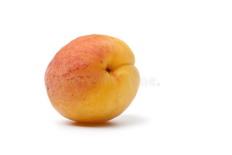 Single apricot with leaf stock image. Image of isolated - 272116105