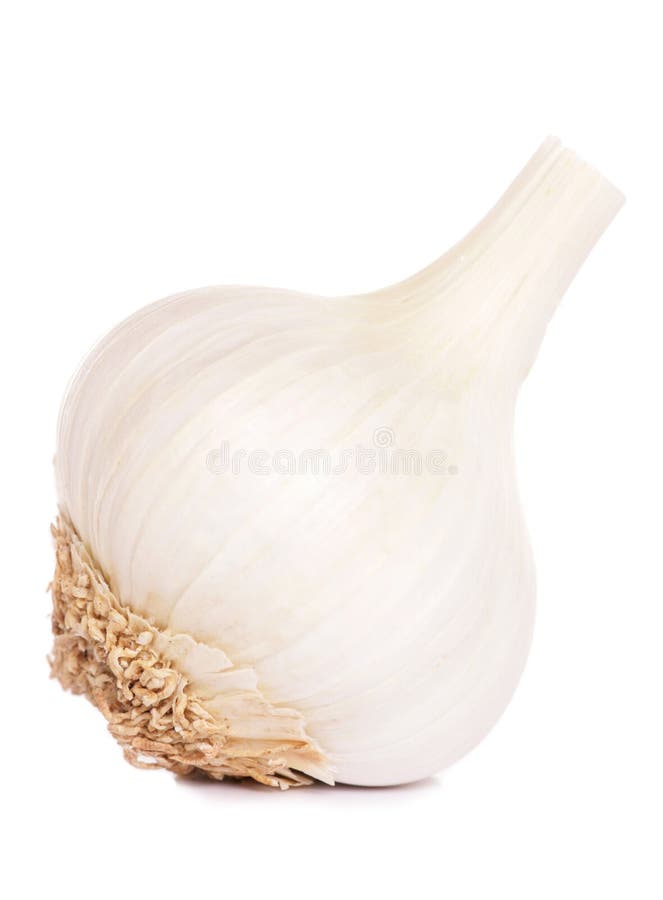 Whole garlic stock image. Image of unpeeled, food, healthy - 22179101