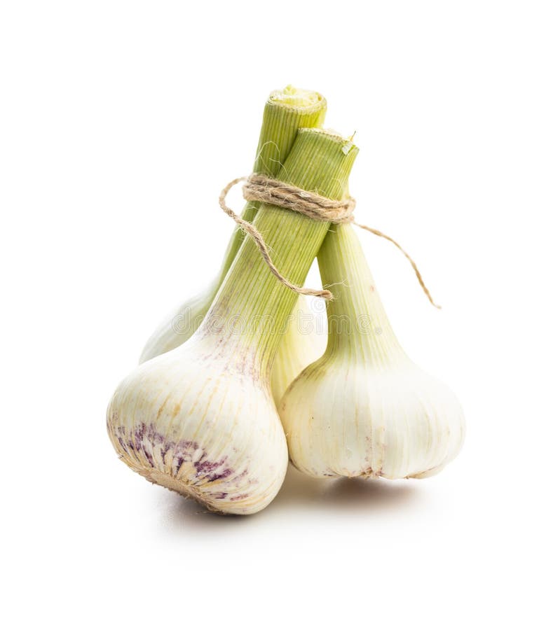 Whole Garlic Bulb. Fresh White Garlic Isolated on White Background ...