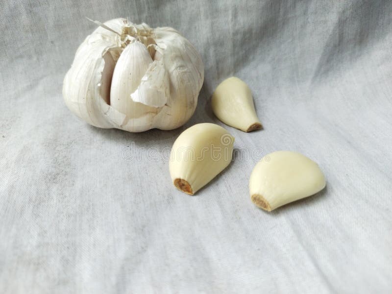 Whole Garlic Bulb and Peeled Cloves on White Fabric. Stock Photo ...