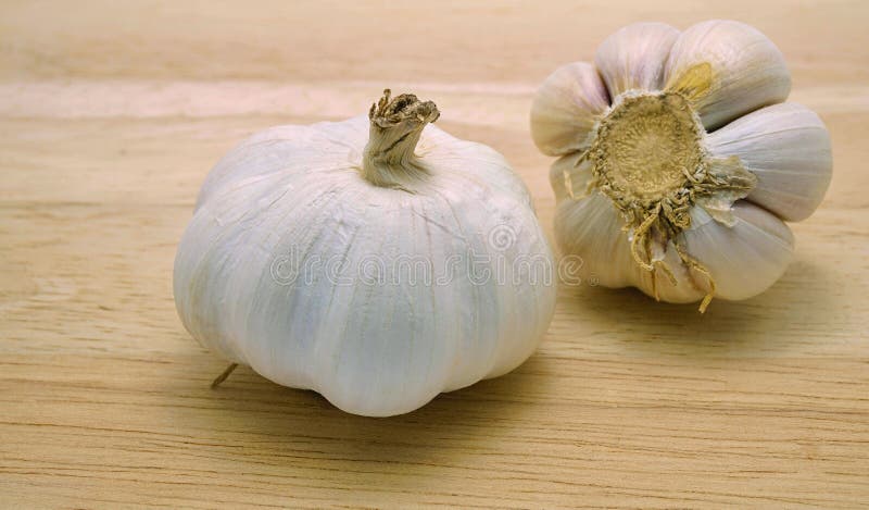 Whole Garlic Bulb and Peeled Outer Shell Garlic View on Root Side ...