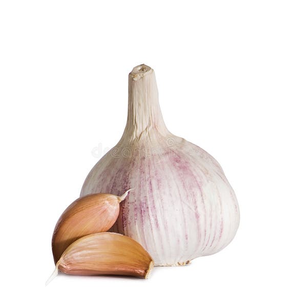 Whole Garlic in Husk Isolated on White Background. Stock Photo - Image ...