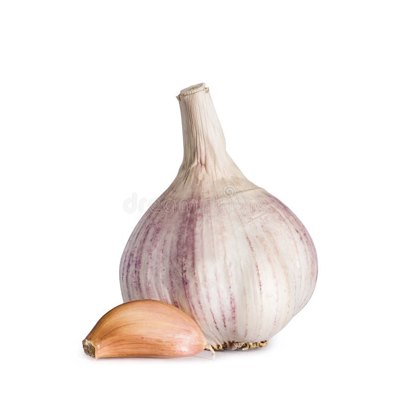 Whole Garlic in Husk Isolated on White Background. Stock Photo - Image ...