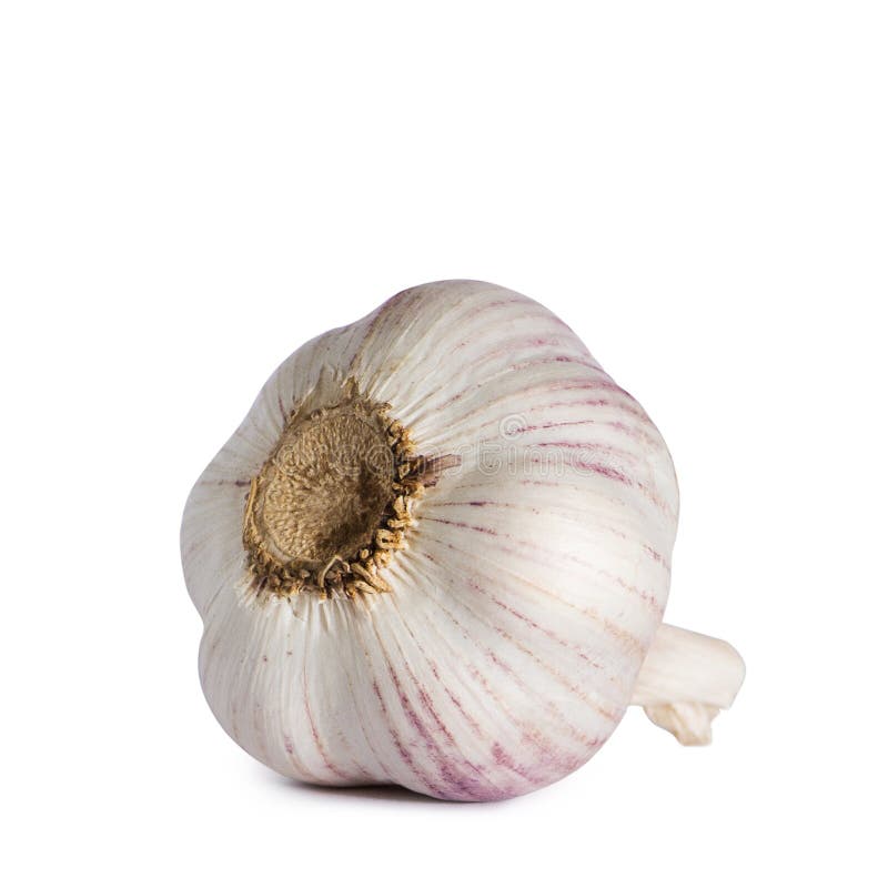 Whole Garlic in Husk Isolated on White Background. Stock Photo - Image ...