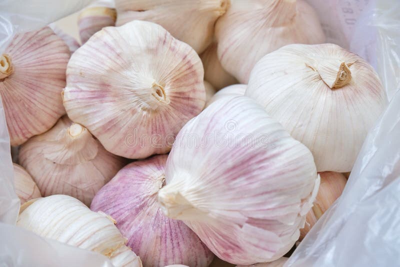 Whole Garlic in the Plastic Bag Stock Image - Image of culinary ...