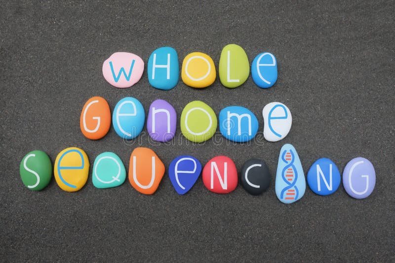 Whole Genome Sequencing Text Composed with Multicolored Stone Letters ...