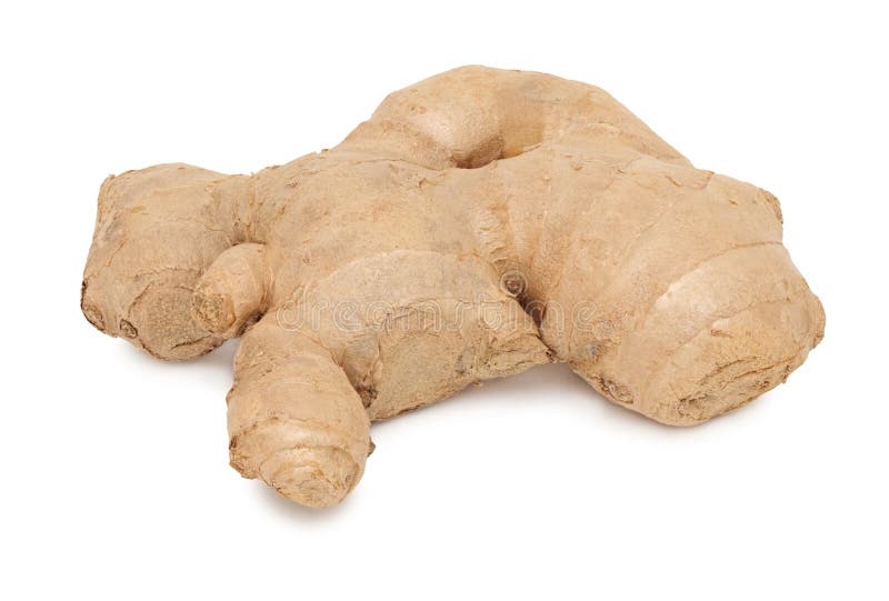 Whole ginger root stock photo. Image of vegetable, asian - 12591370