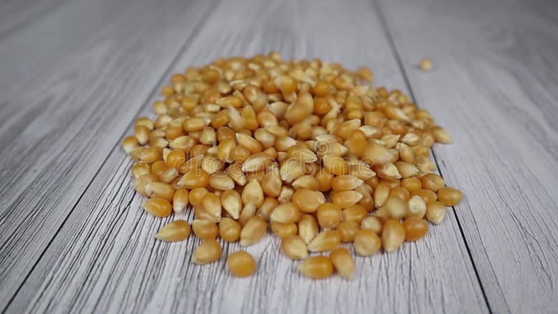 Whole Grain Corn Fall on the Heap of Grain Lying on a Light Wooden ...