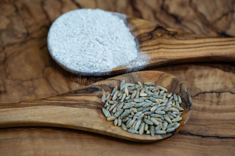 Whole grain rye stock photo. Image of ingredient, natural - 297528772