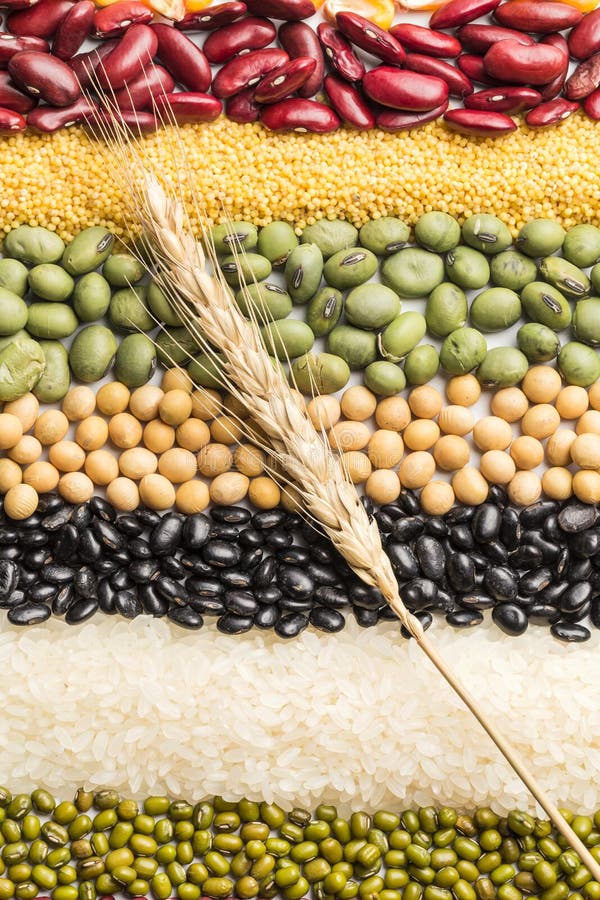 Whole Grains are Rich in Nutrients Stock Photo - Image of grain, close ...