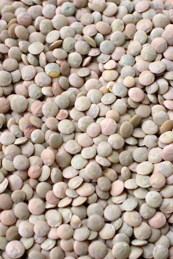 Whole green lentils stock image. Image of edible, isolated - 579227