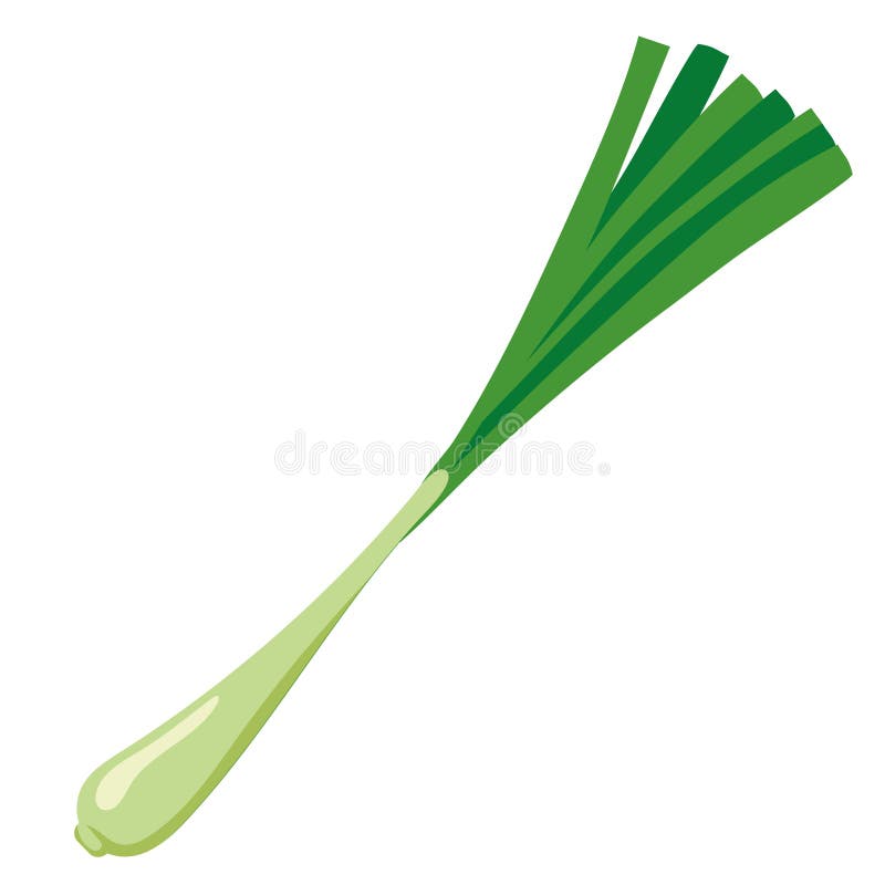 Whole Green Onion Icon. Vector Stock Illustration - Illustration of ...