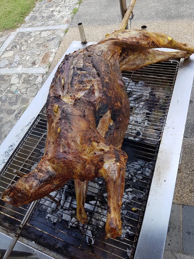 Lamb Whole Carcass Barbecue Parallel Grill Street Food Traditional ...