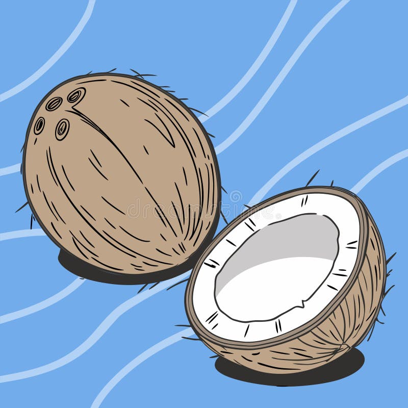Whole and Half Coconut on a Blue Background with Wavy Lines Stock ...
