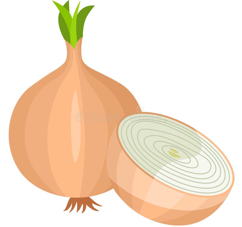 Onion Element Stock Illustrations – 18,811 Onion Element Stock ...
