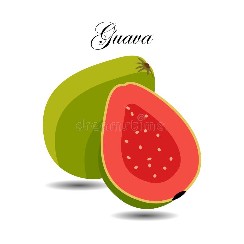 Whole and Half Guava in Cross Section Icon with Long Shadow, Flat ...