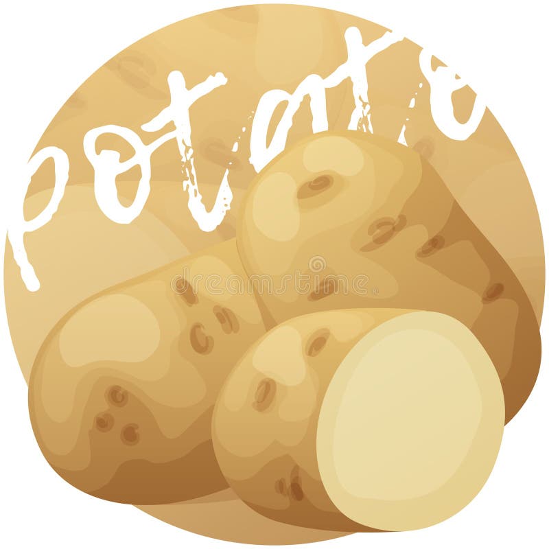 Whole and Half Potato Vegetable. Cartoon Vector Icon on Beige Gradient Circle Stock Vector ...