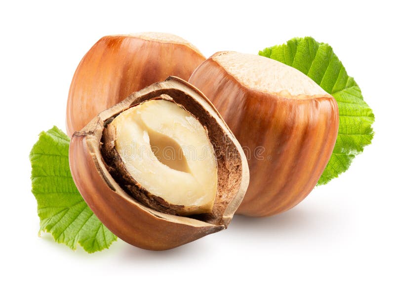 Whole Hazelnuts with Hazelnut in Broken Shell with Leaves Isolated on a ...