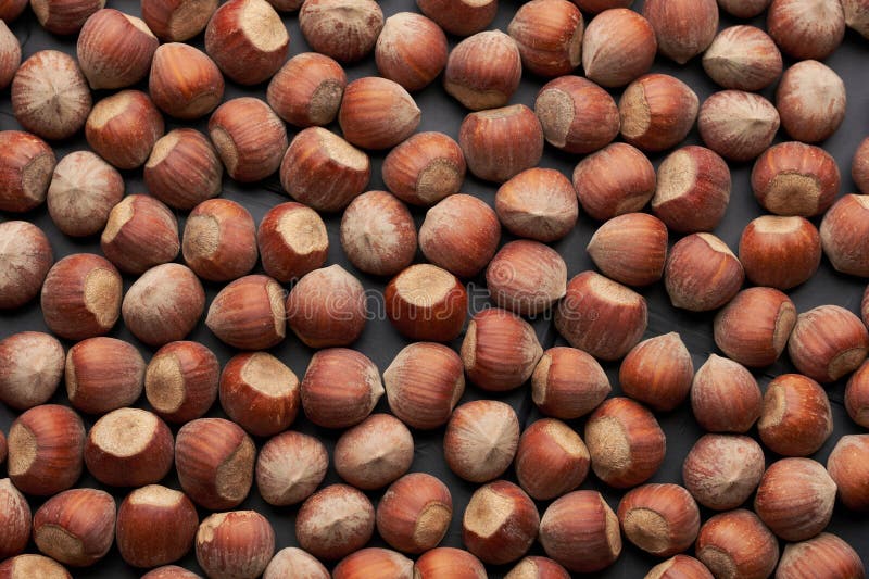 Whole Hazelnuts Nuts with Shell Close-up Studio Shot Stock Image ...