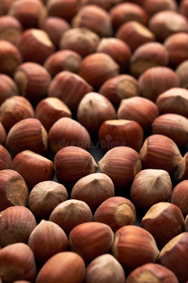 Whole Hazelnuts Nuts with Shell Close-up Studio Shot Stock Photo ...