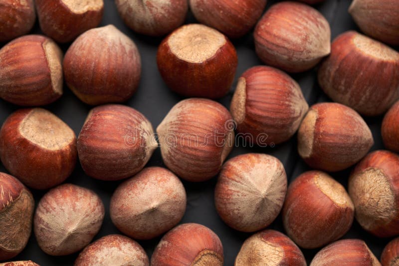 Whole Hazelnuts Nuts with Shell Close-up Studio Shot Stock Image ...