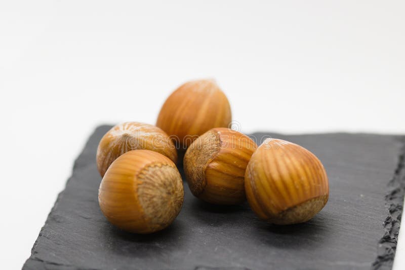 Whole hazelnuts stock image. Image of small, protein - 107946155