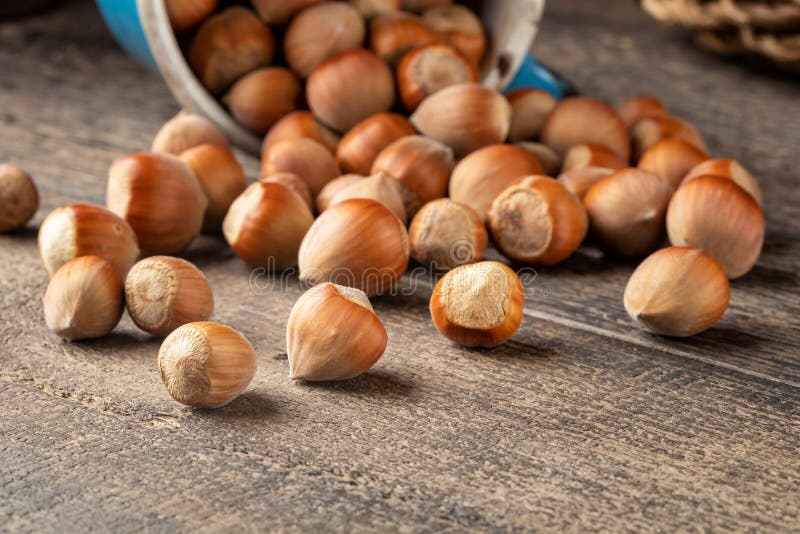 Whole Hazelnuts on a Table with Copy Space Stock Image - Image of ...