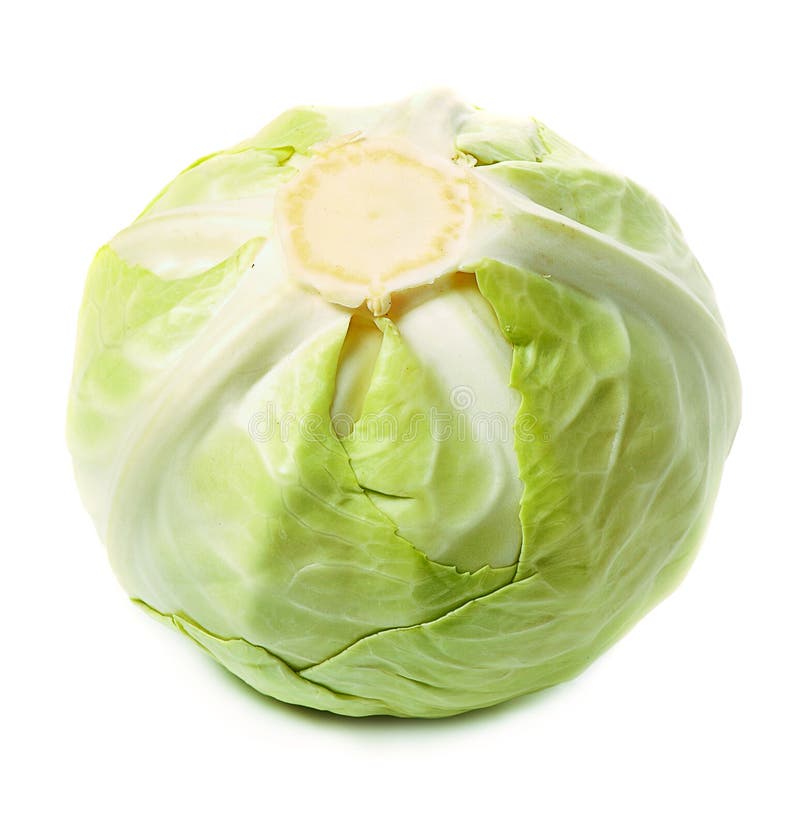 Whole head of cabbage stock image. Image of sphere, food - 12304675
