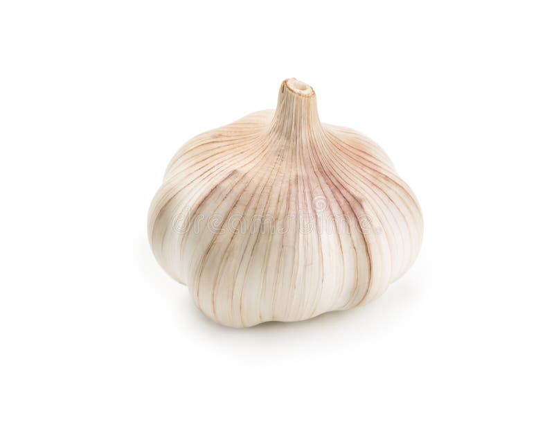 A whole head of garlic stock image. Image of aroma, segments - 29875843