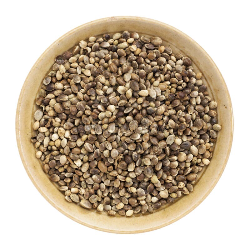 Whole hemp seeds stock photo. Image of hemp, brown, seeds - 31455694