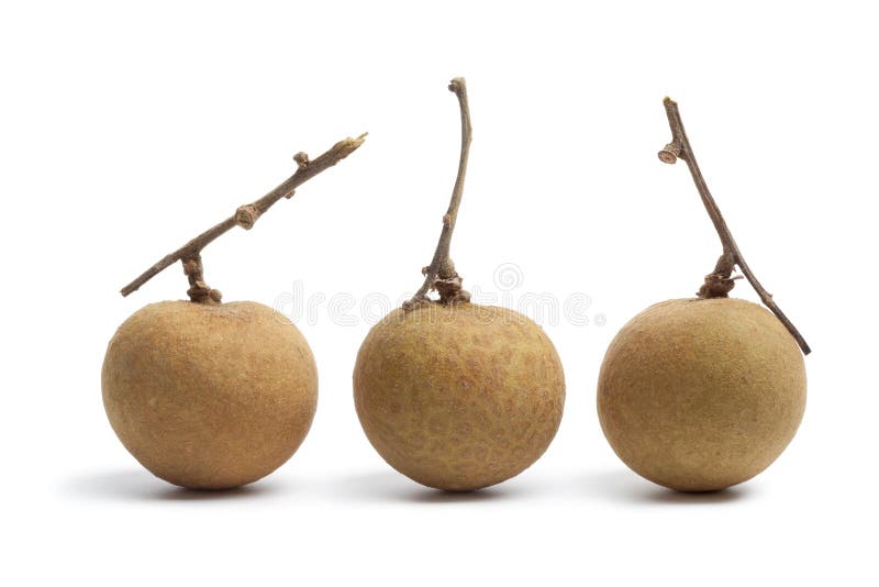 Longan with Stems and Leaves Isolated on White Background Stock Photo ...