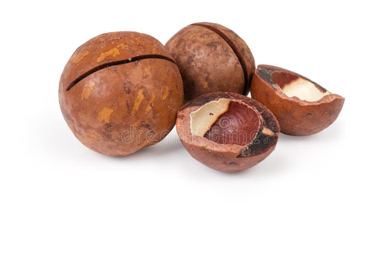 Whole Macadamia Nuts with Sawn Shells and Empty Nutshell Stock Image ...