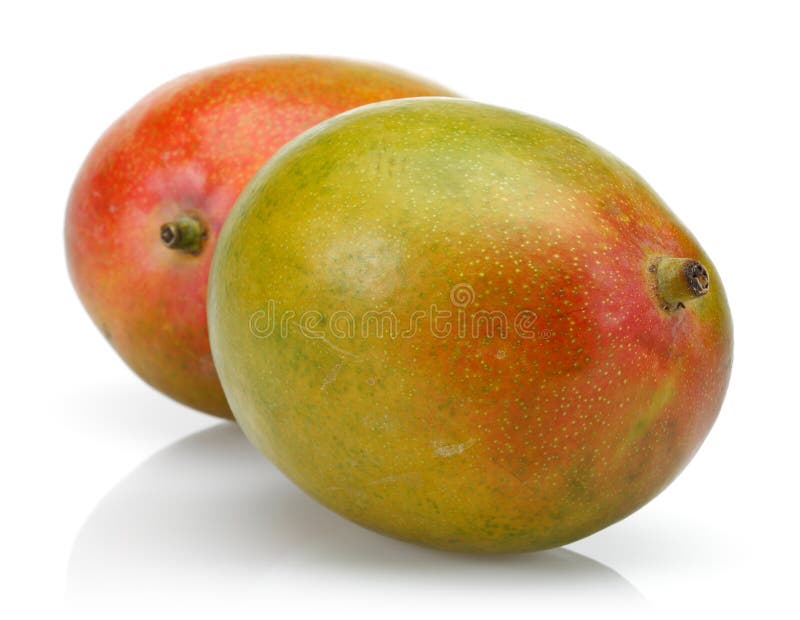 Single Fruits Pictures Mango