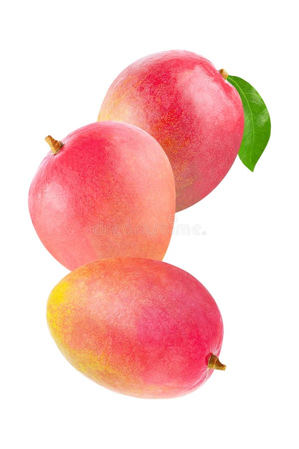 Whole Mango Isolated on White Stock Image - Image of healthy, juicy ...