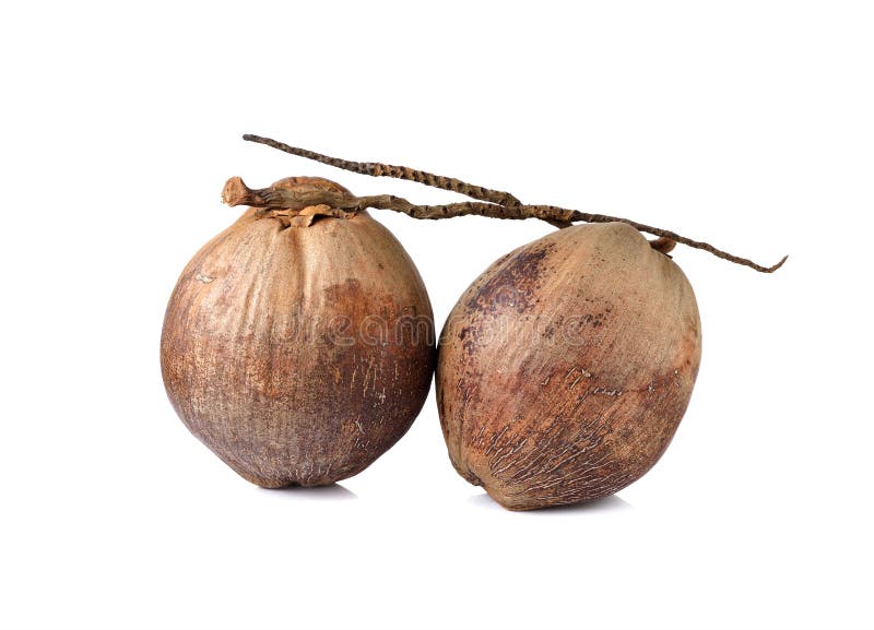 463 Mature Coconut Fruit Stock Photos - Free & Royalty-Free Stock ...