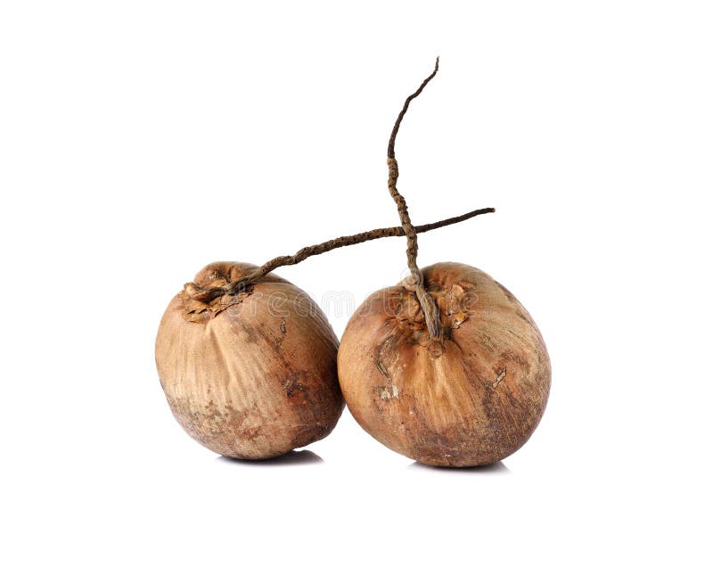 461 Mature Coconut Fruit Stock Photos - Free & Royalty-Free Stock ...