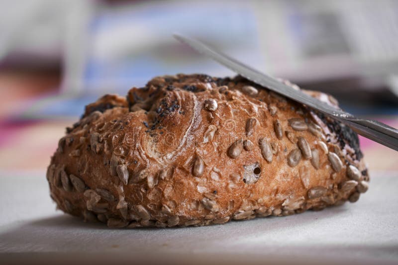 Whole Meal Bread Roll Isolated on Breakfast Table Stock Image - Image ...