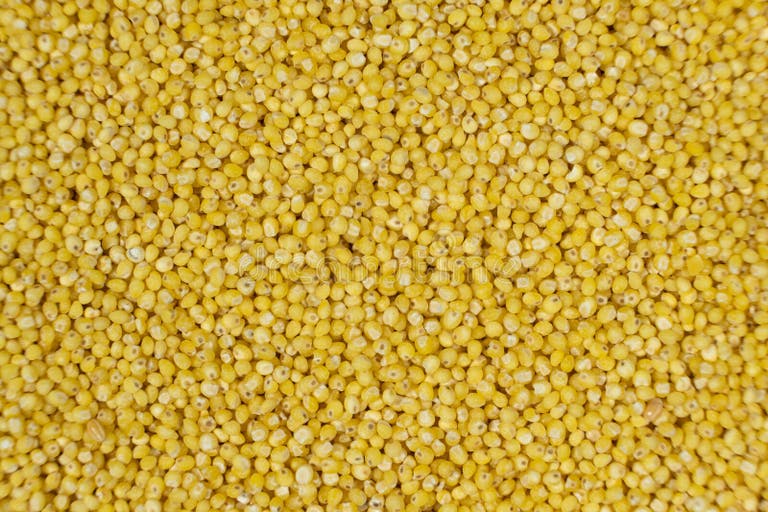 Whole Millet Grains Top View Macro Stock Photo - Image of heap ...
