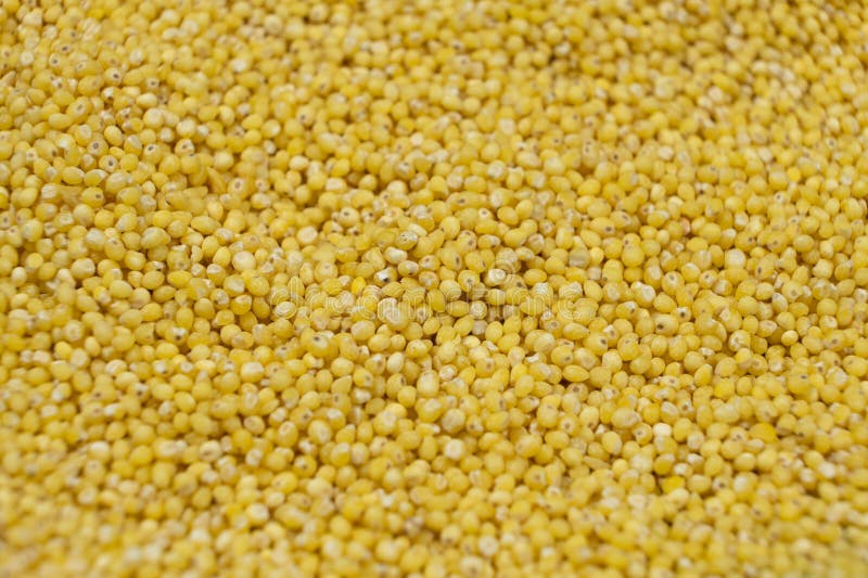Whole Millet Grains Top View Macro Stock Photo - Image of nutrition ...