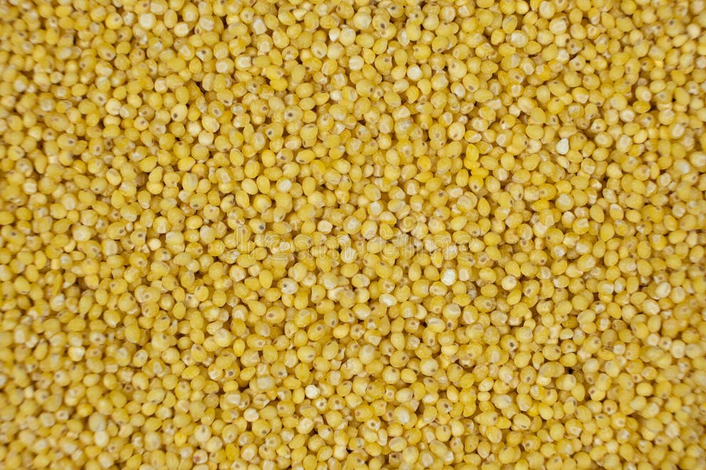 Whole Millet Grains Top View Macro Stock Image - Image of vertical ...