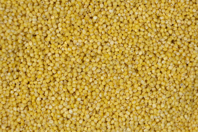 Whole Millet Grains Top View Macro Stock Photo - Image of traditional ...