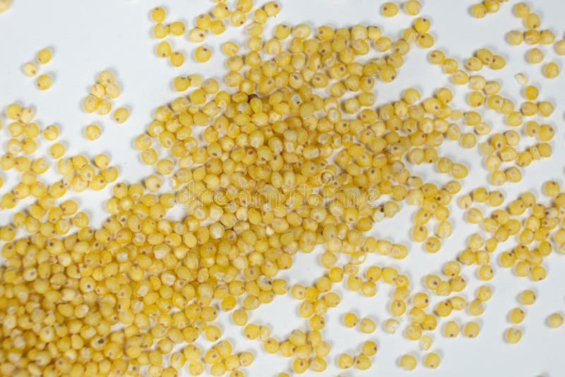 Whole Millet Grains on White Background Top View Macro Stock Photo ...