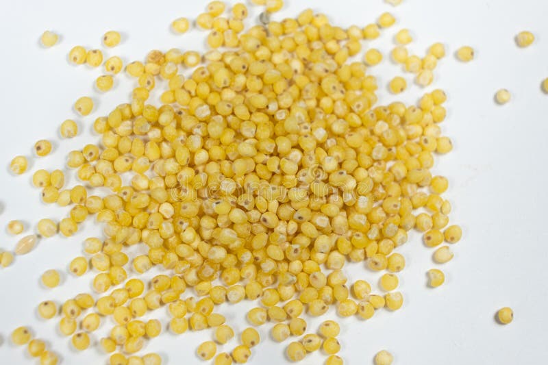 Whole Millet Grains on White Background Top View Macro Stock Photo ...