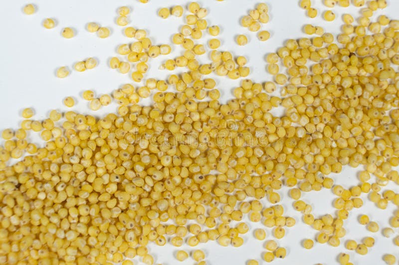 Whole Millet Grains on White Background Top View Macro Stock Image ...